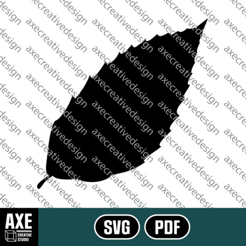 Beech Tree Leaf Digital SVG Vector File Cutting Cricut Decal Fall ...
