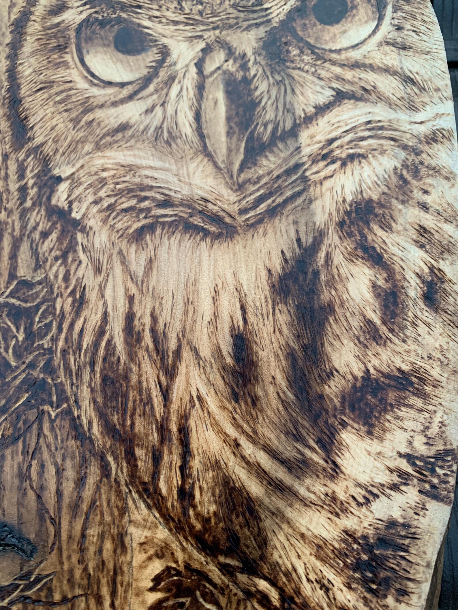 Wood Burned Horned Owl in the Forest - Etsy