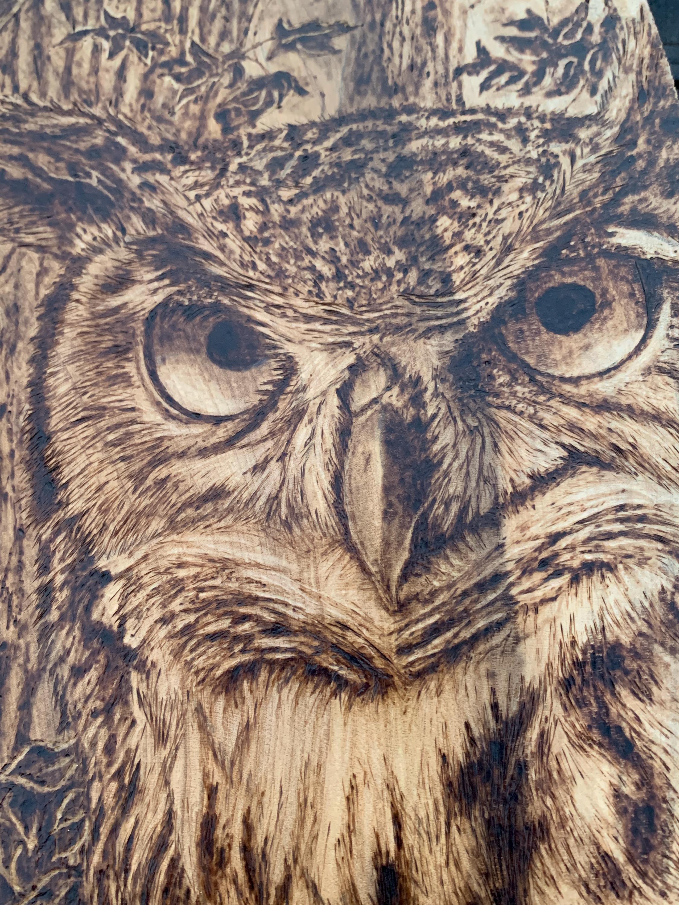 Wood Burned Horned Owl in the Forest - Etsy