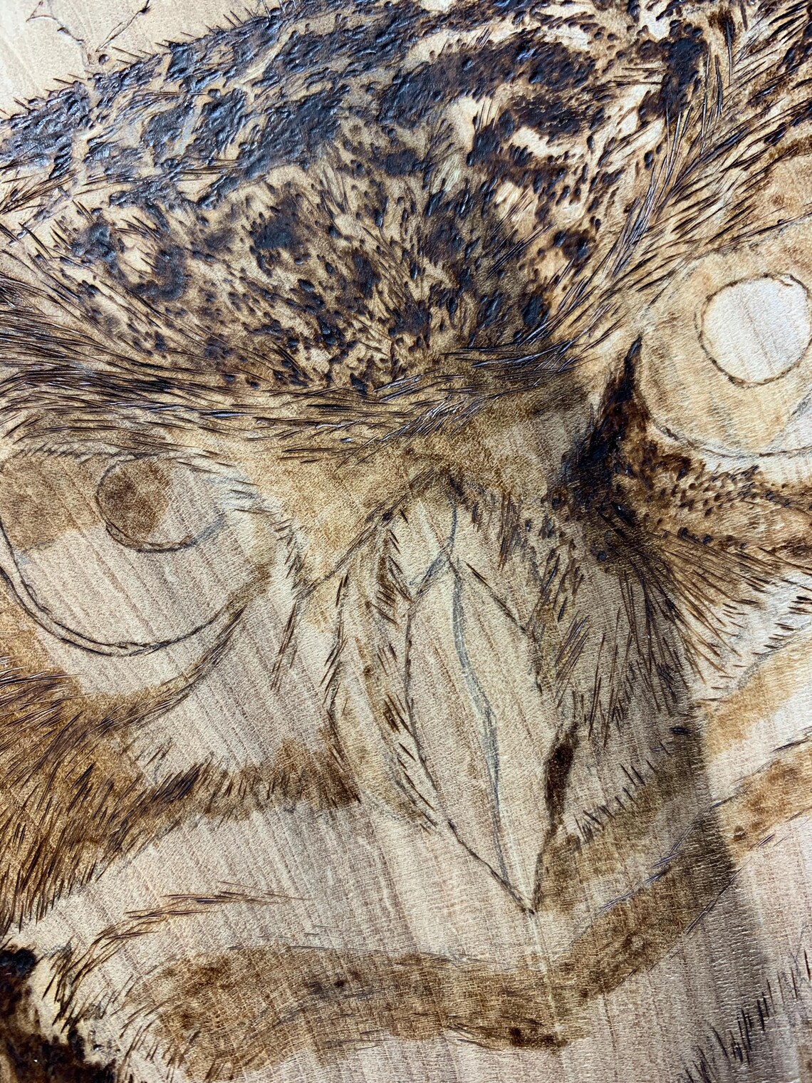 Wood Burned Horned Owl in the Forest - Etsy
