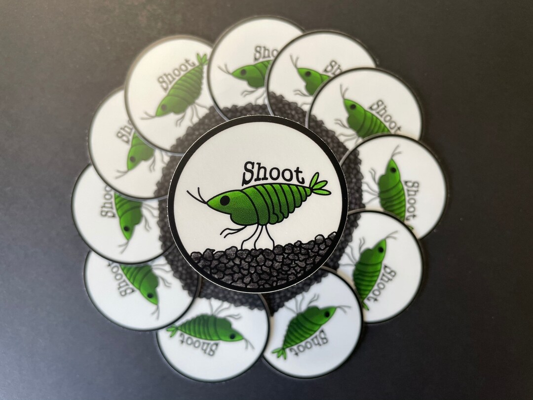 Shoot Shrimp Vinyl Sticker Decal Struggle Motivational Funny Freshwater ...