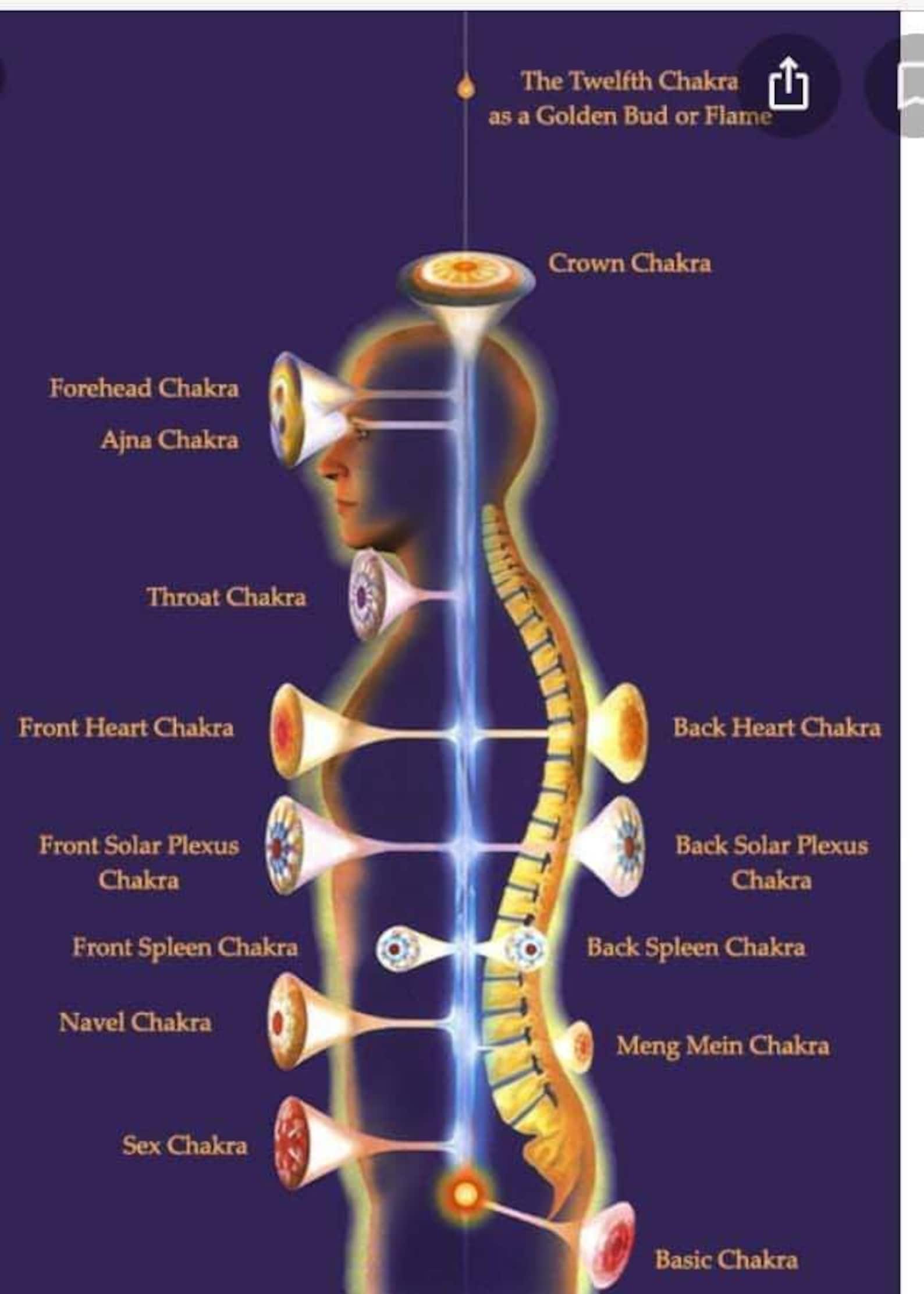 Sacred 7 Egyptian Essential Oils - Gift Set - Etsy