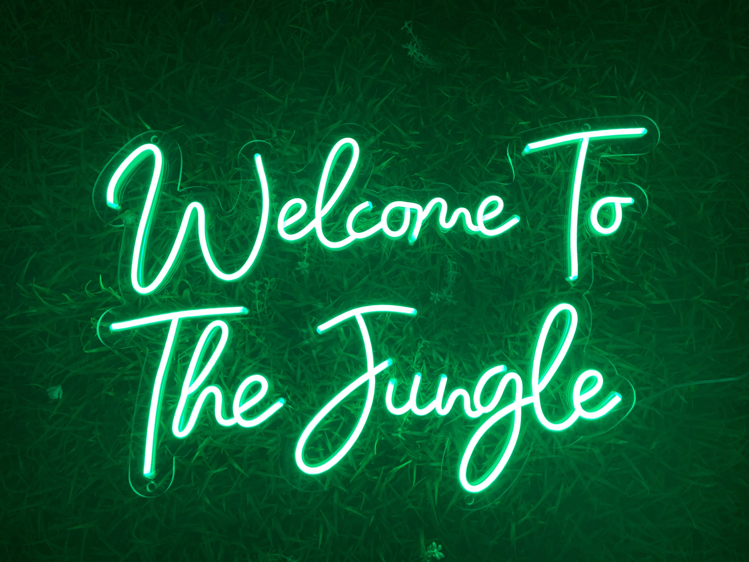 Welcome to the Jungle Neon Sign Custom Wall Decor Neon Lights - Etsy
