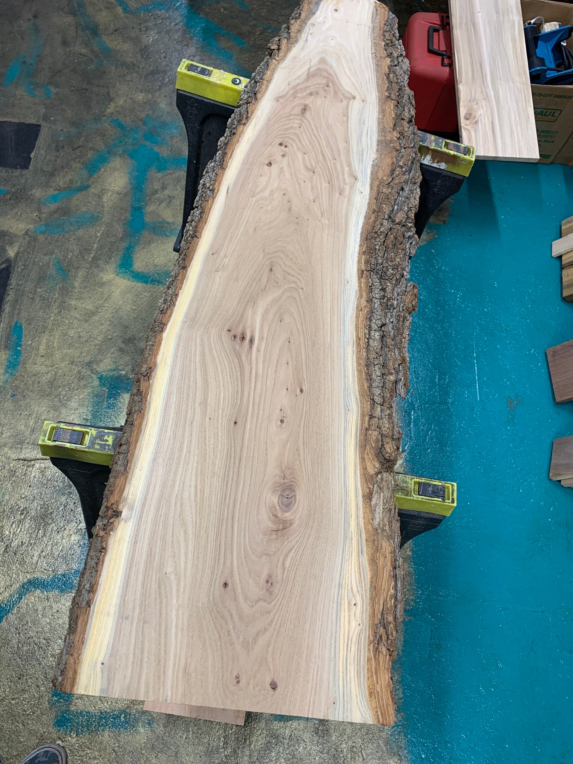 Live Edge American Elm Slab Wood 1-3/8x8-15x49 | Etsy