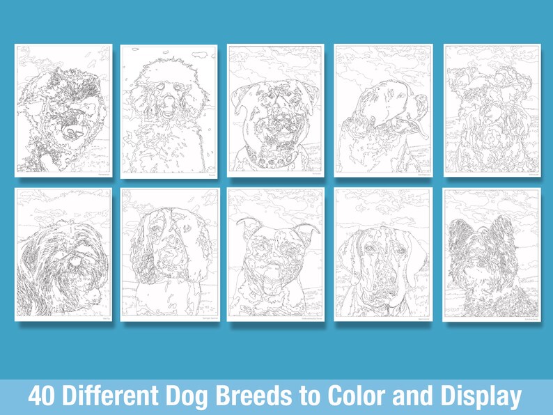 Dog Portraits Adult Coloring Downloadable Pages | 40 Different Dog ...