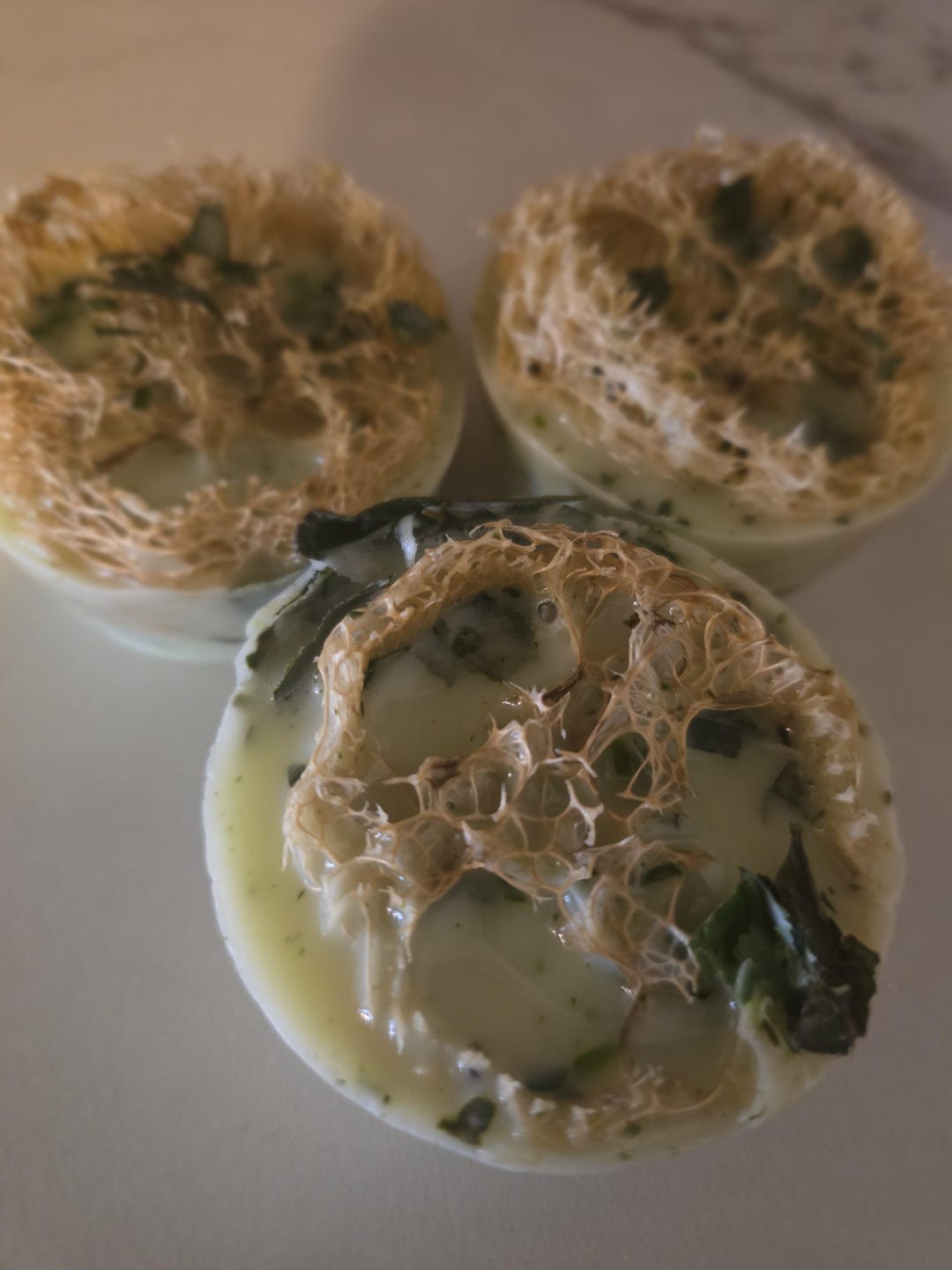 Goat Milk & Soursop Soap With Loofah - Etsy