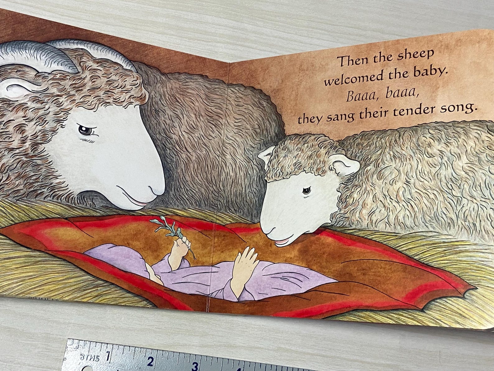 The Donkey’s Christmas Song Nativity Nancy Tafuri Children’s Board Book ...