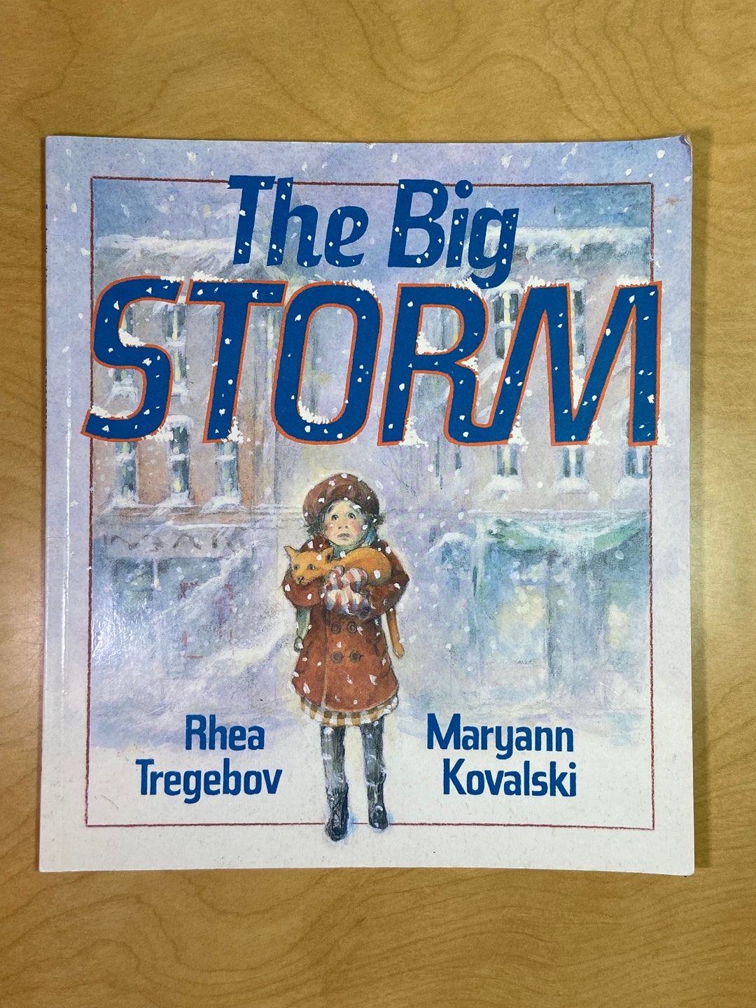 The Big Storm Illustrated Children’s Book Rhea Tregebov Maryann ...