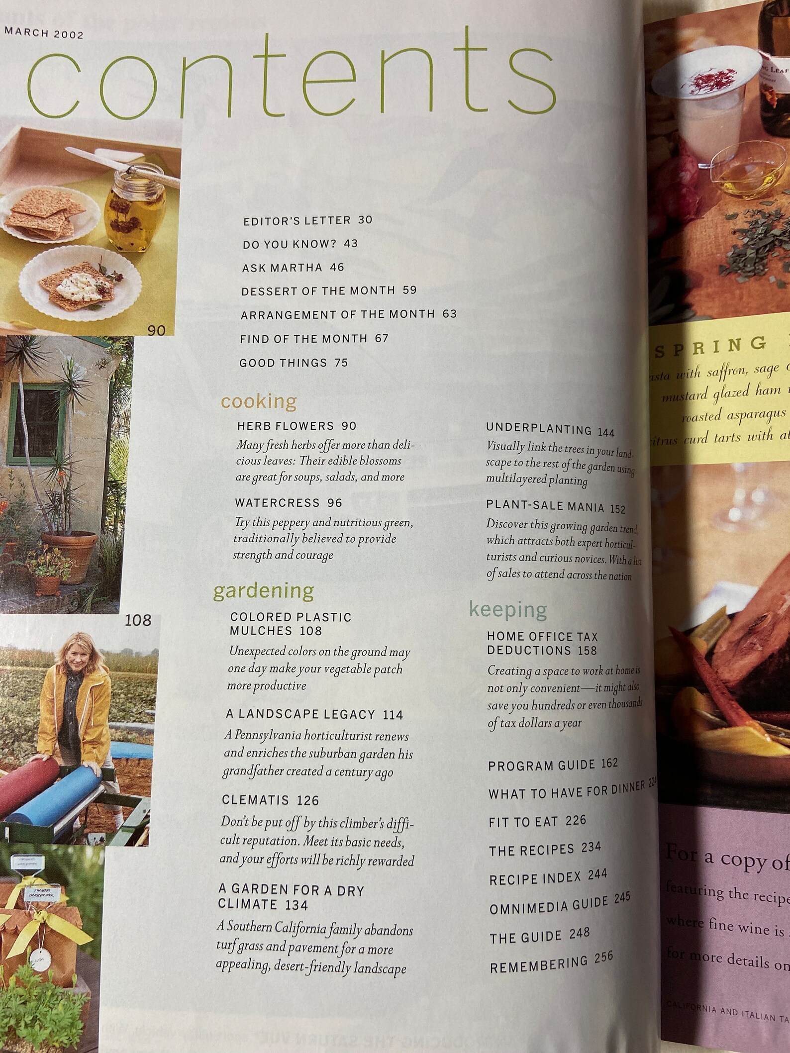 2002 Martha Stewart Living Magazine 100th Issue Gardening March Back ...