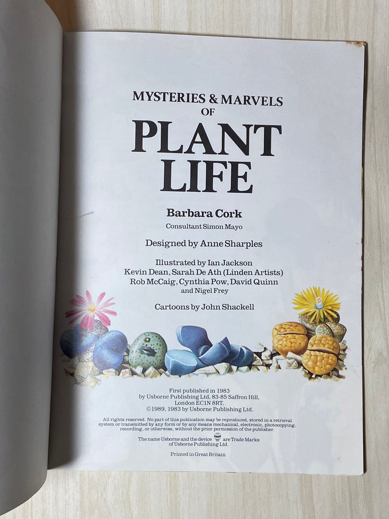Mysteries & Marvels of Plant Life Children’s Usborne Book 80s ...