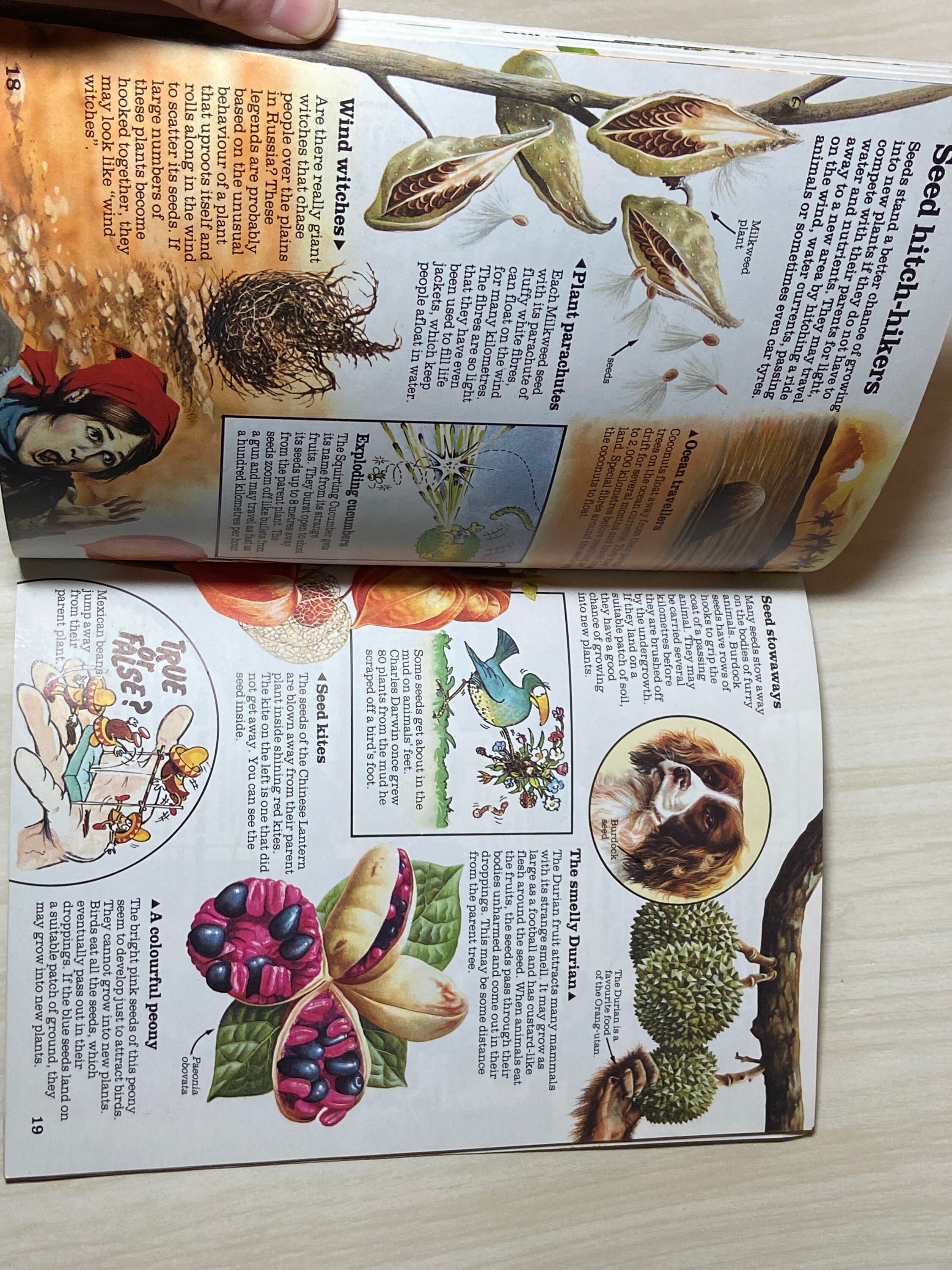 Mysteries & Marvels of Plant Life Children’s Usborne Book 80s ...