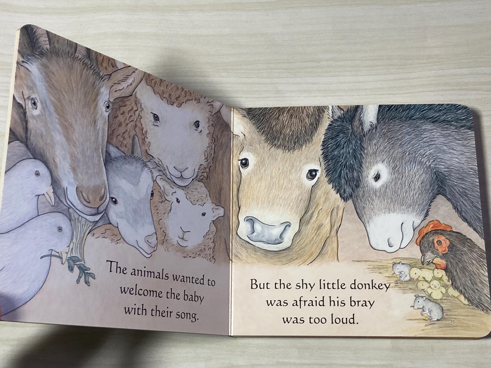 The Donkey’s Christmas Song Nativity Nancy Tafuri Children’s Board Book ...