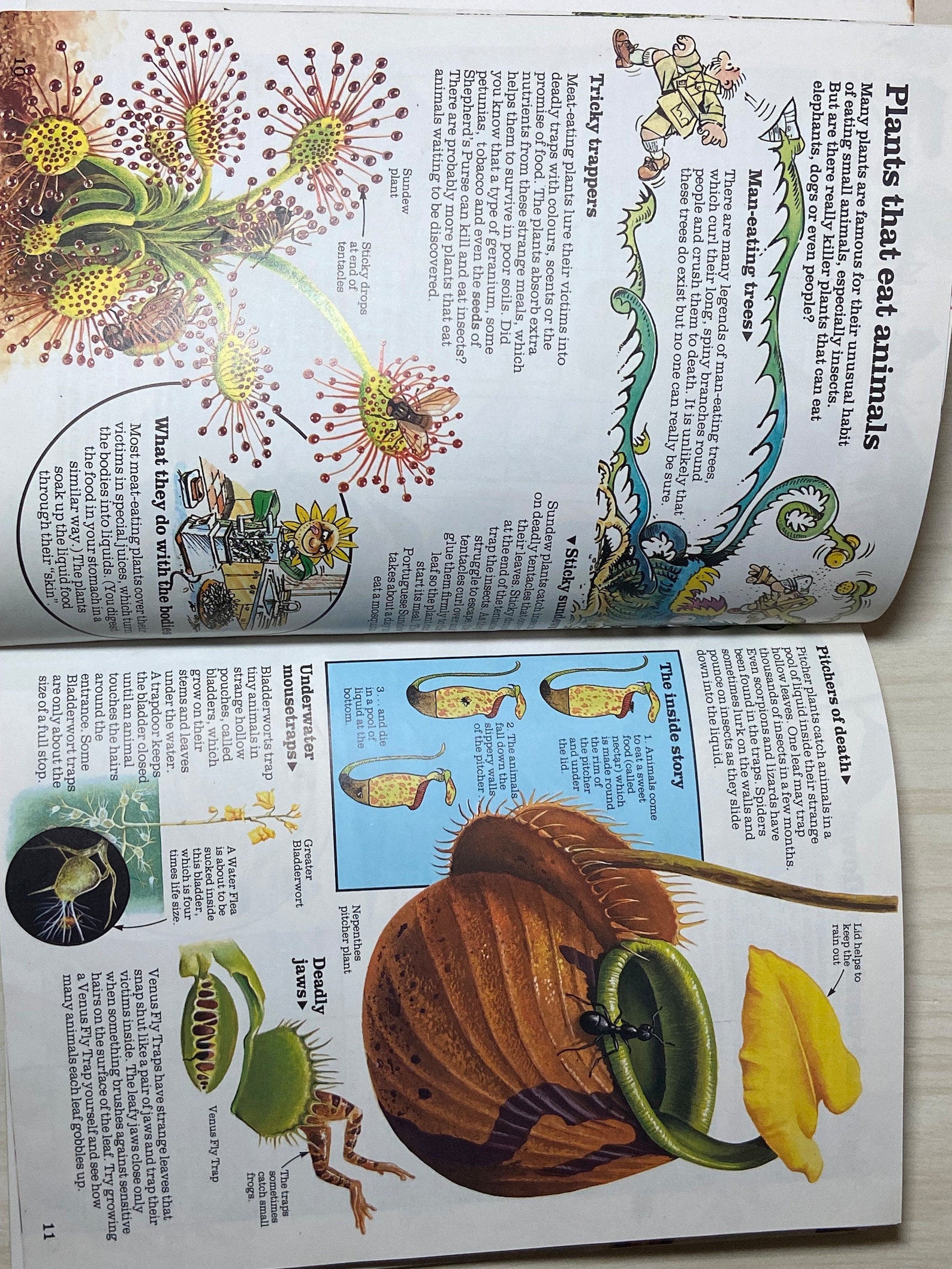 Mysteries & Marvels of Plant Life Children’s Usborne Book 80s ...