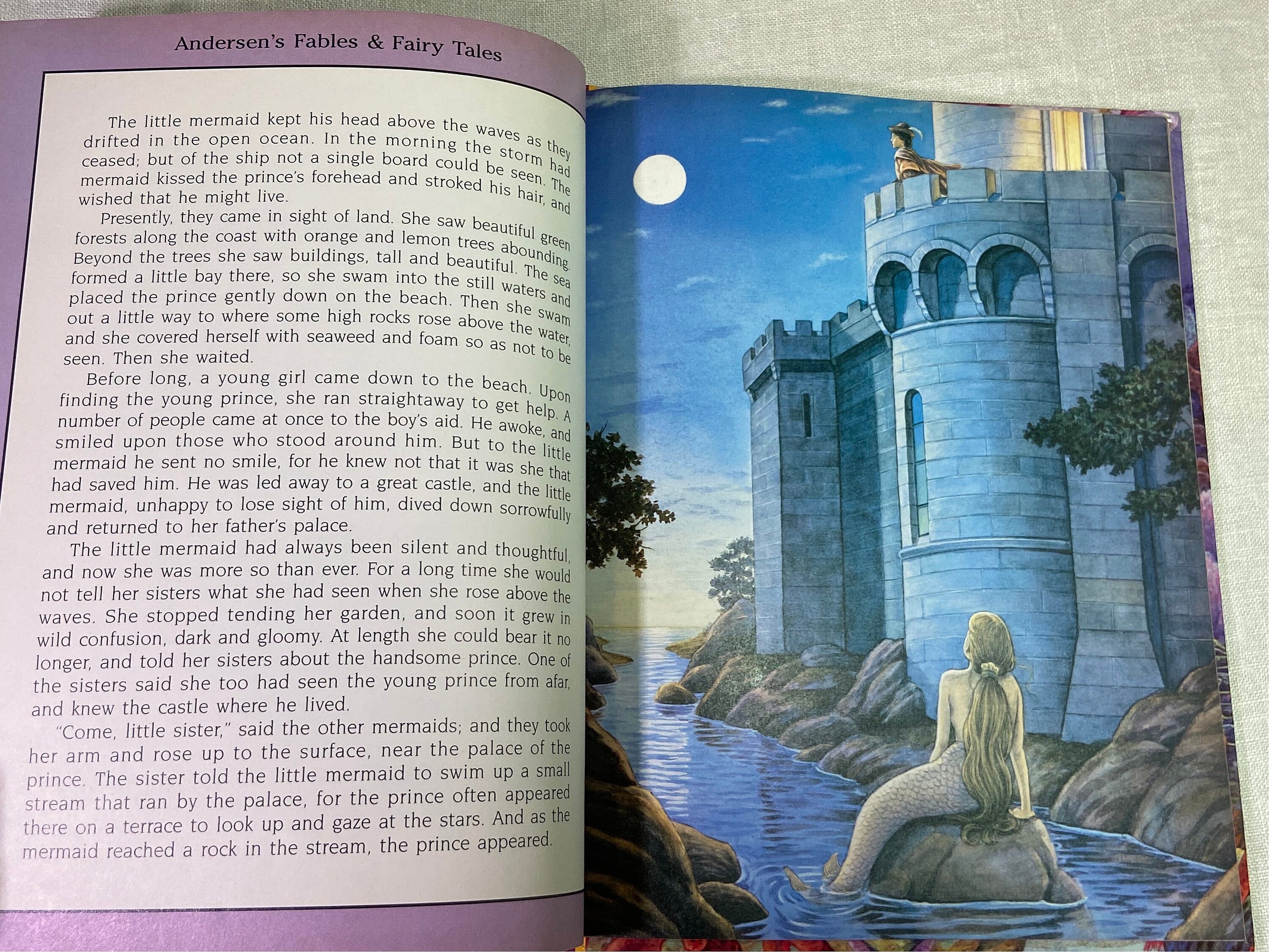 Hans Christian Andersen Fables & Fairy Tales Storybook Treasury ...