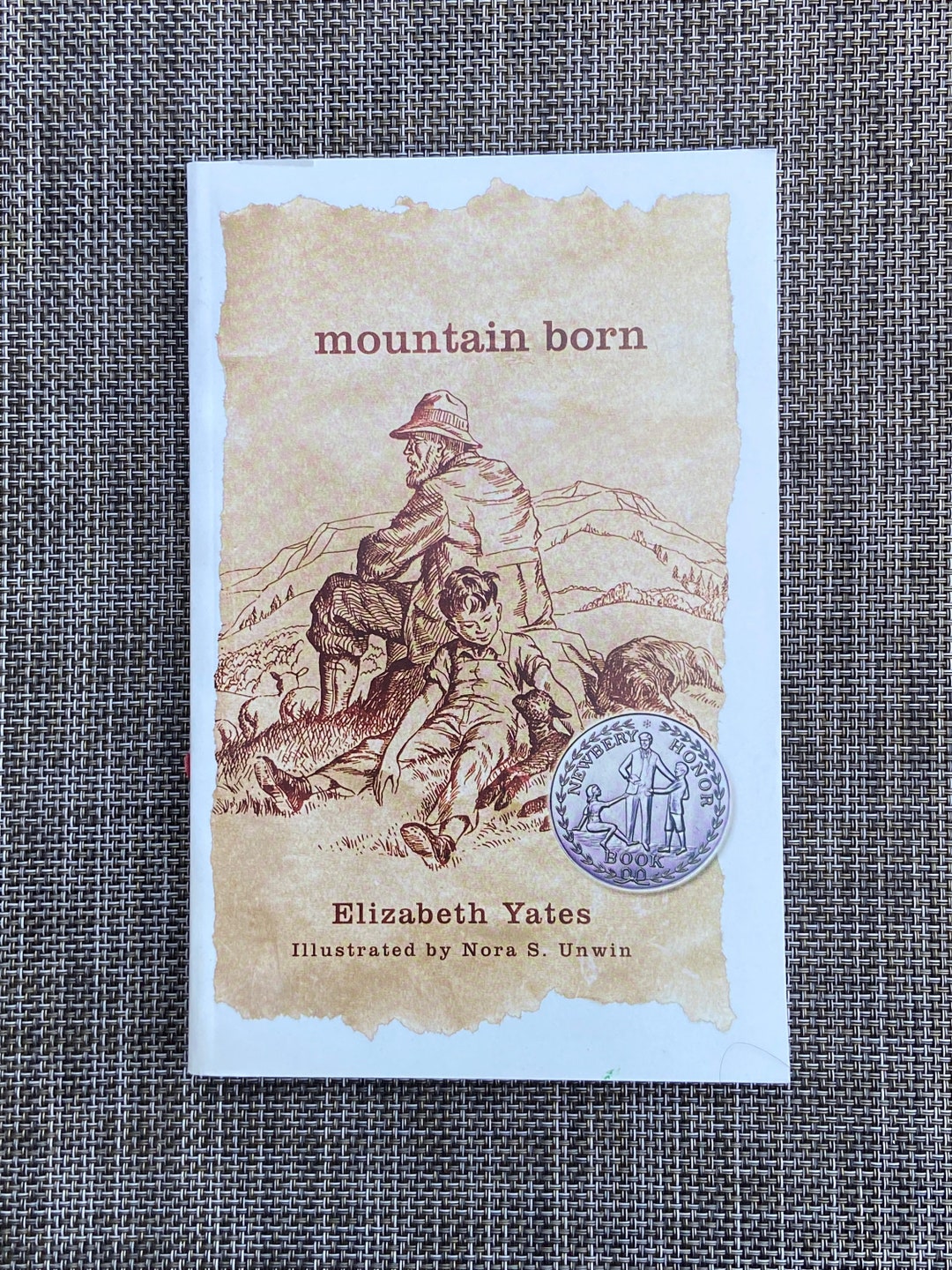 Mountain Born Elizabeth Yates Classic Farm Life Sheep 1993 - Etsy