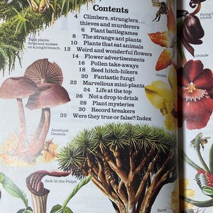 Mysteries & Marvels of Plant Life Children’s Usborne Book 80s ...