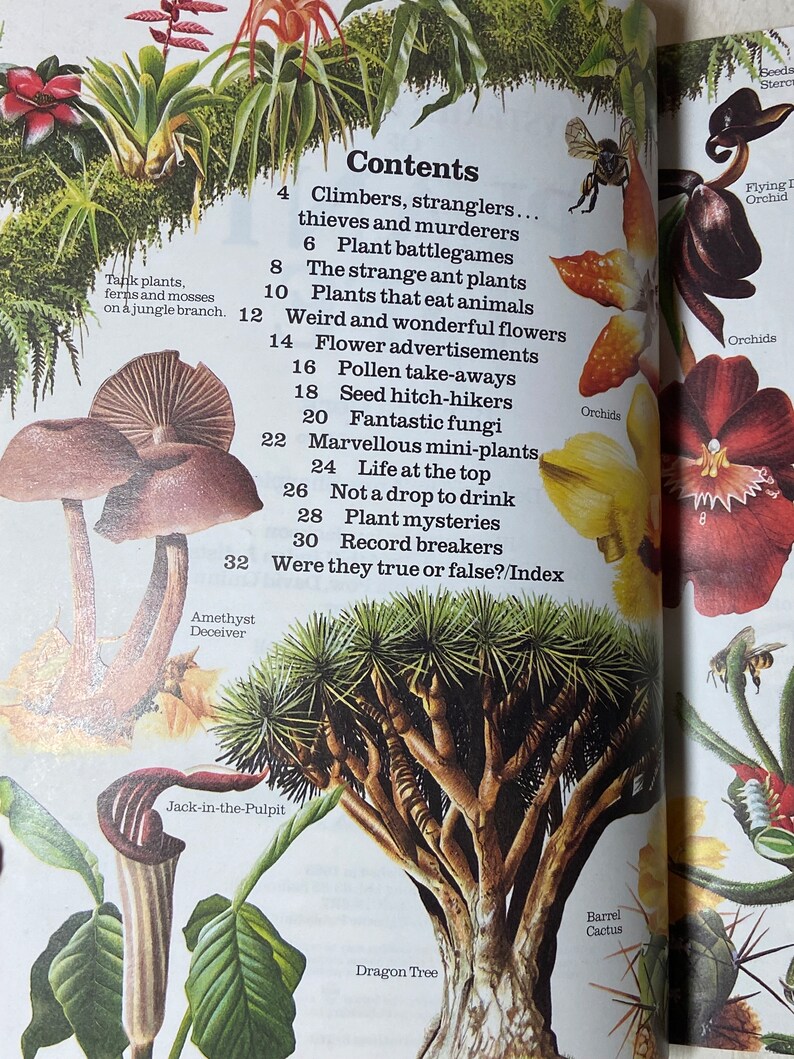 Mysteries & Marvels of Plant Life Children’s Usborne Book 80s ...