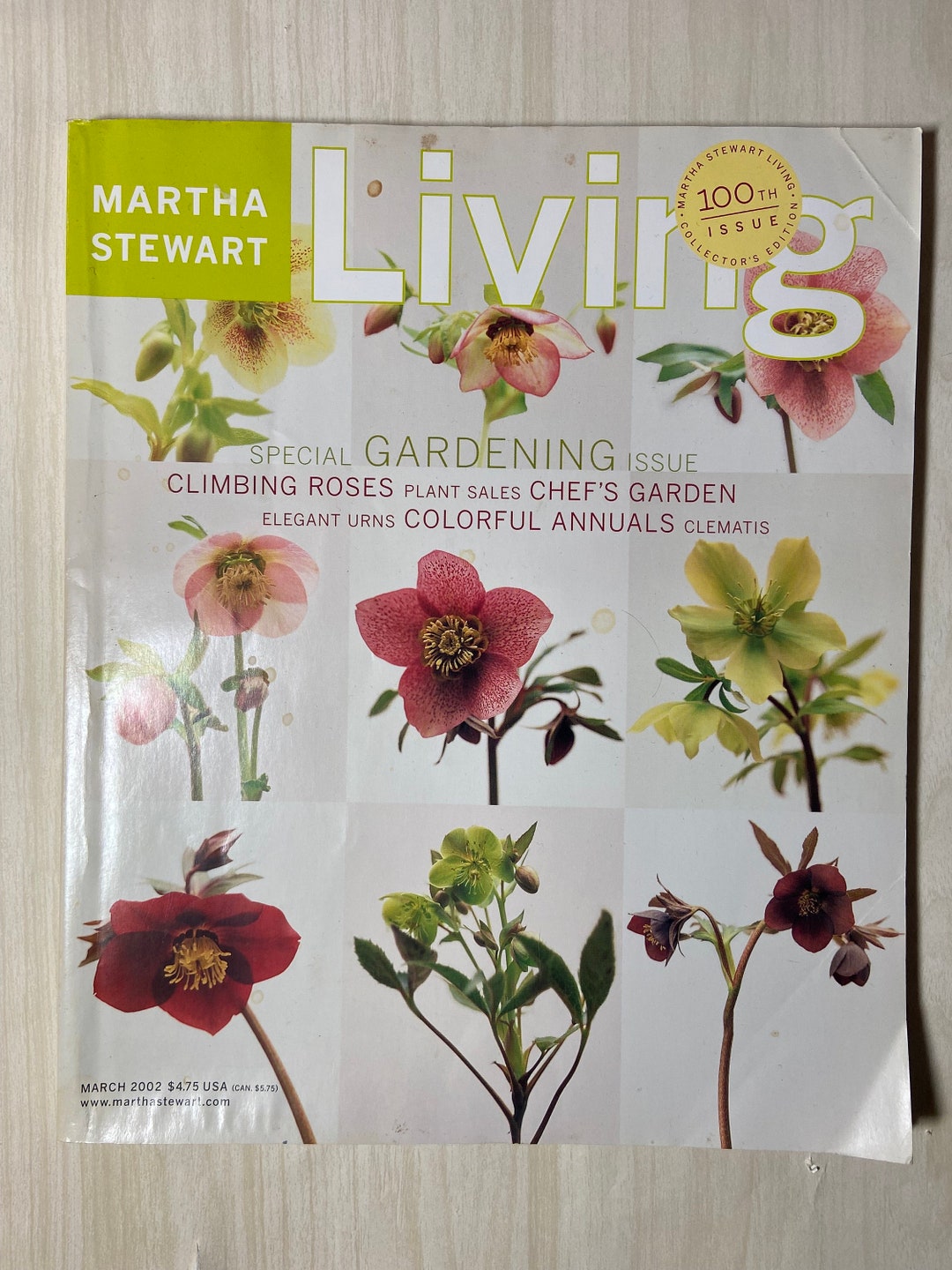 2002 Martha Stewart Living Magazine 100th Issue Gardening March Back ...