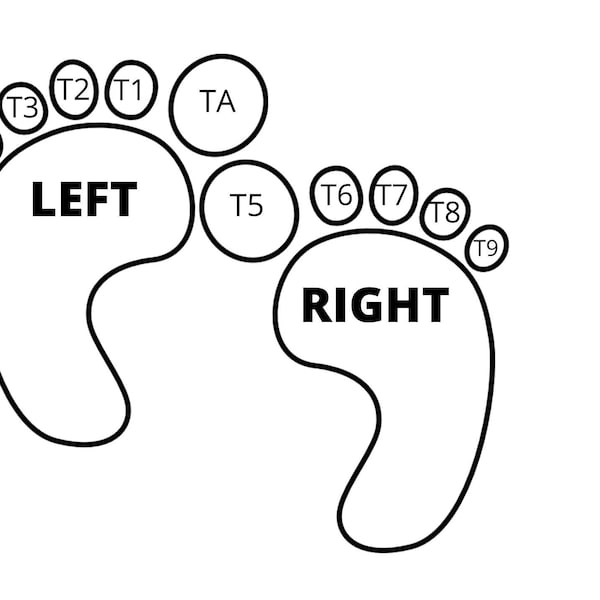 Phlebotomy Cheat Sheet - Etsy
