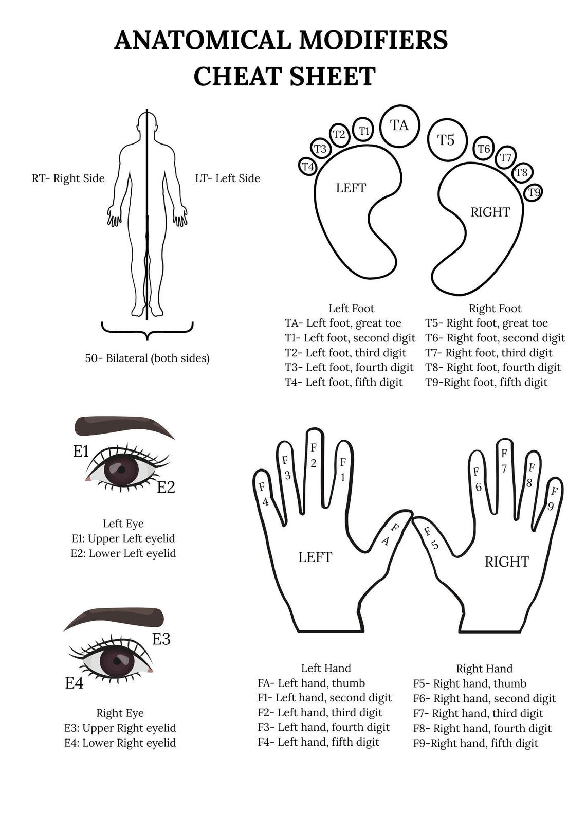 Anatomical Modifiers Cheat Sheet | Medical Coding PDF | Instant ...