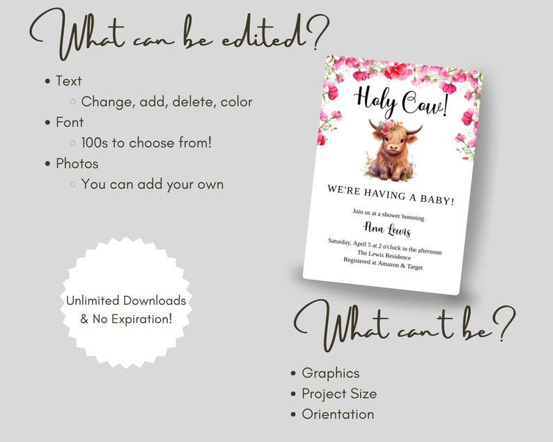 Holy Cow Baby Shower Bingo, Highland Cow Baby Bingo Game, Fun Game for ...