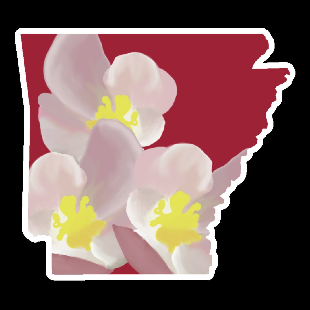Hand-drawn Arkansas Apple Blossom State Flower Sticker; Waterproof ...