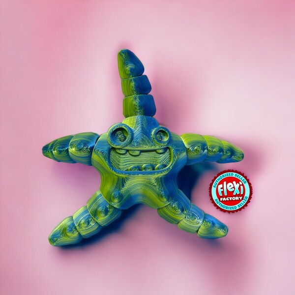 Starfish Fidget Toy - Etsy