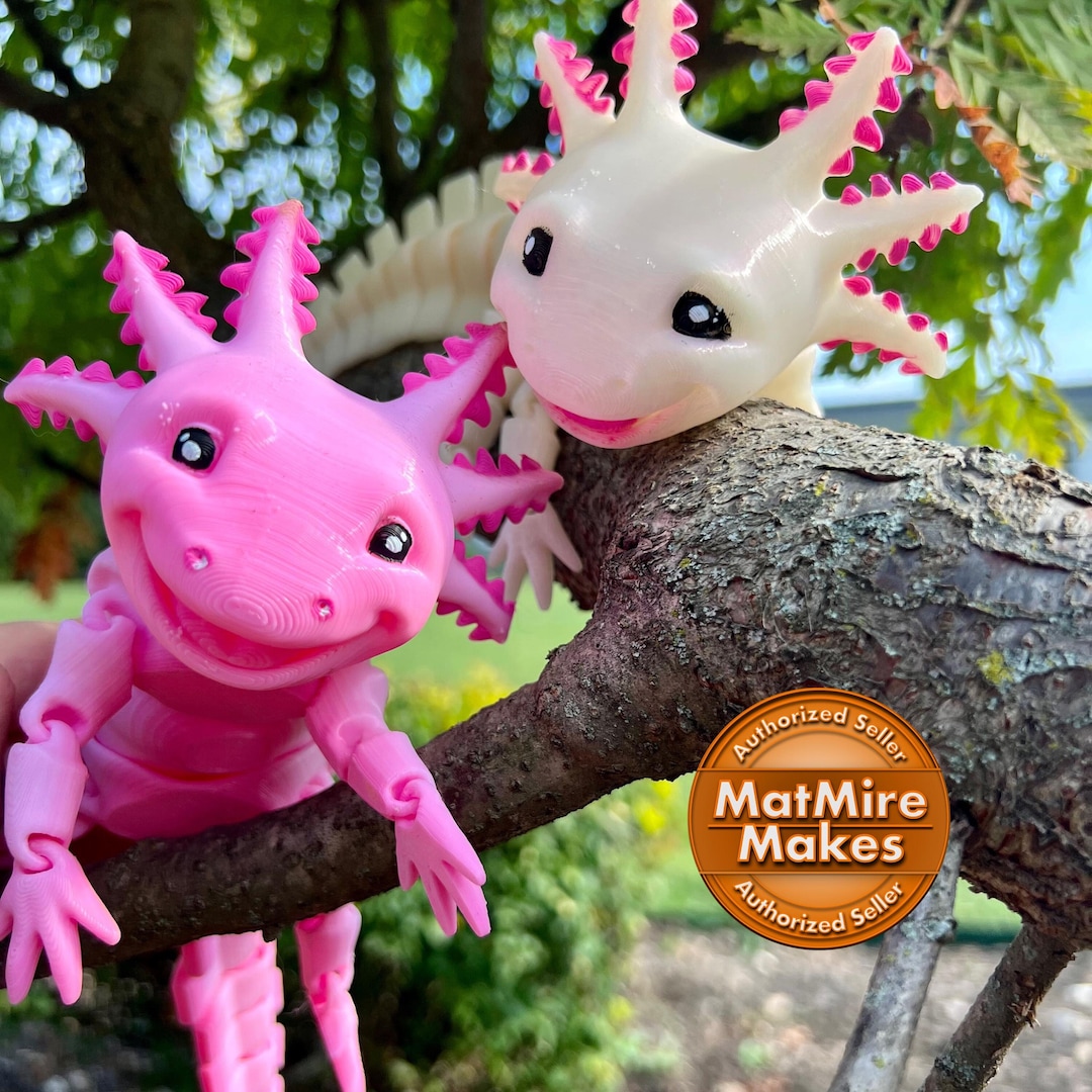 Smiling Axolotl Fidget Toy Articulated Axolotl Toy Axolotl - Etsy