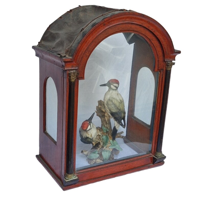 Victorian Clock Face 19th Century Vitrine Display Case Victorian Wall ...
