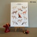 Fox Species Poster English | Fox Species | Scientific Animals Poster ...