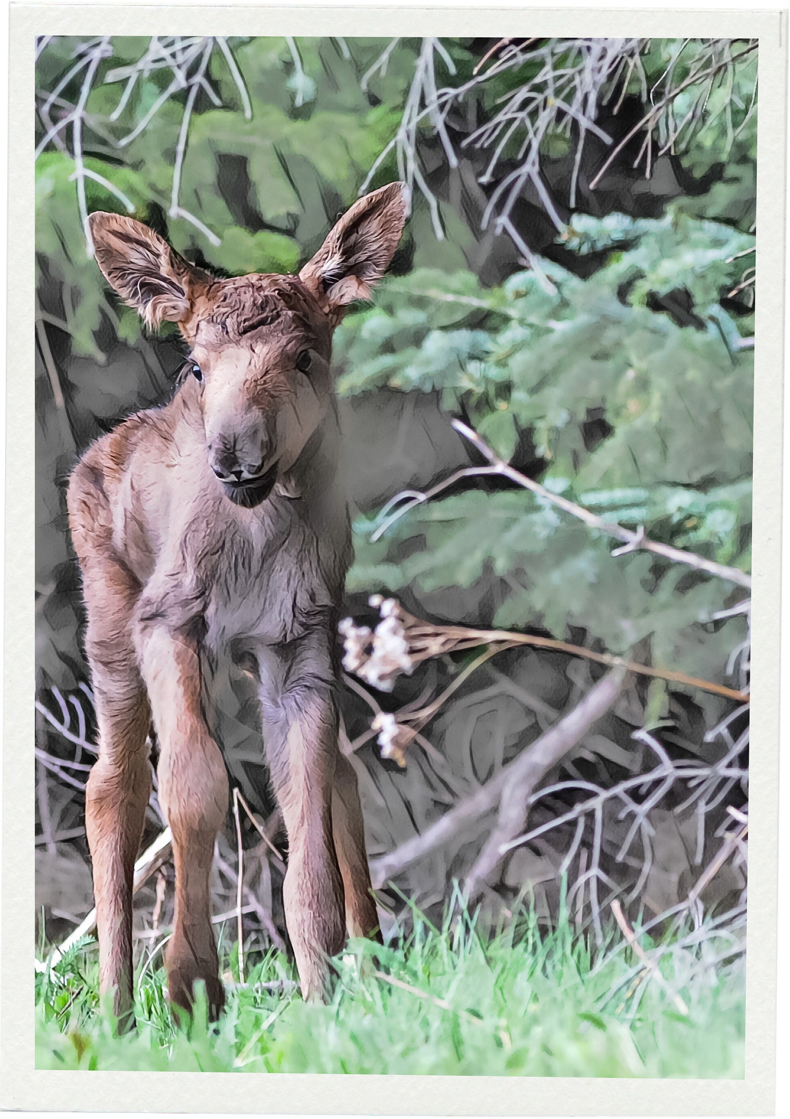 Welcome, Tiny Moose of the Cosmos! This Artwork Will Weave a Spell of ...