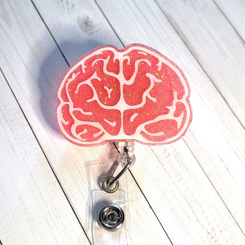 Anatomical Brain - Etsy