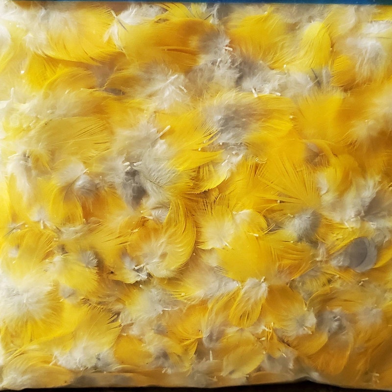 Yellow Feather - Etsy
