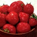 12-100 Evie-2 Everbearing Strawberry Plants-flavorful, High-yielding ...
