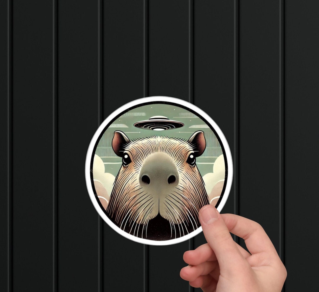 Funny Capybara Sticker, Capybara UFO Sticker, Cute Capybara Sticker ...