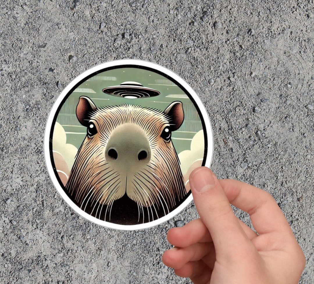 Funny Capybara Sticker, Capybara UFO Sticker, Cute Capybara Sticker ...