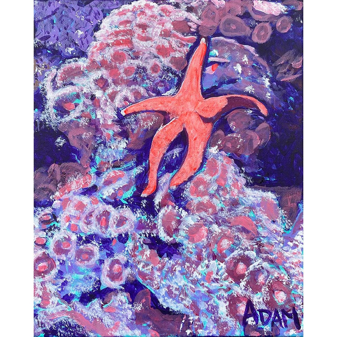 Art Print Reclining Starfish | Fine Art Reproduction | Pacific ...