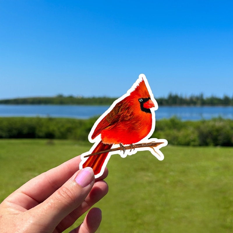 Cardinal Decal - Etsy