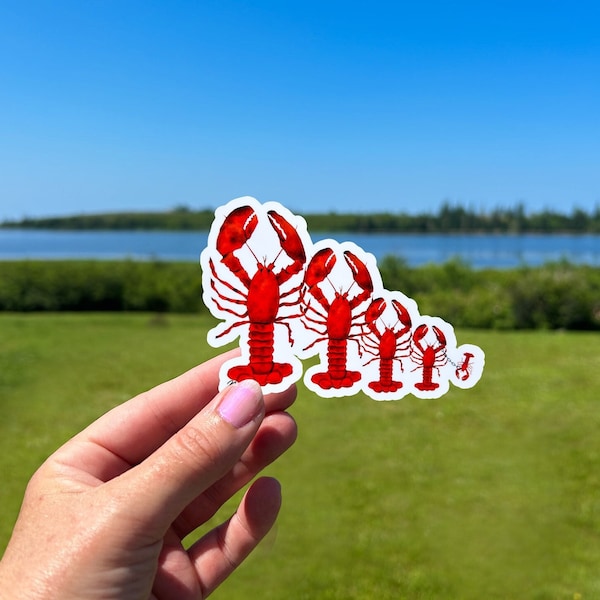 Lobster Decal - Etsy