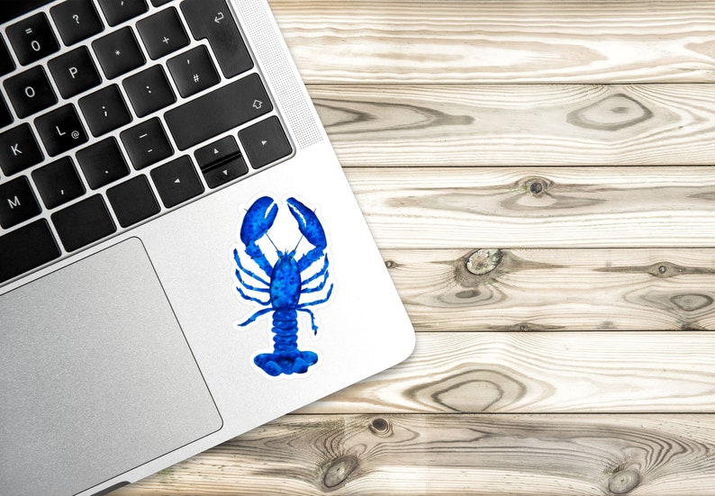 Nova Scotia Lobster Sticker Blue Lobster Sticker Weatherproof Durable ...