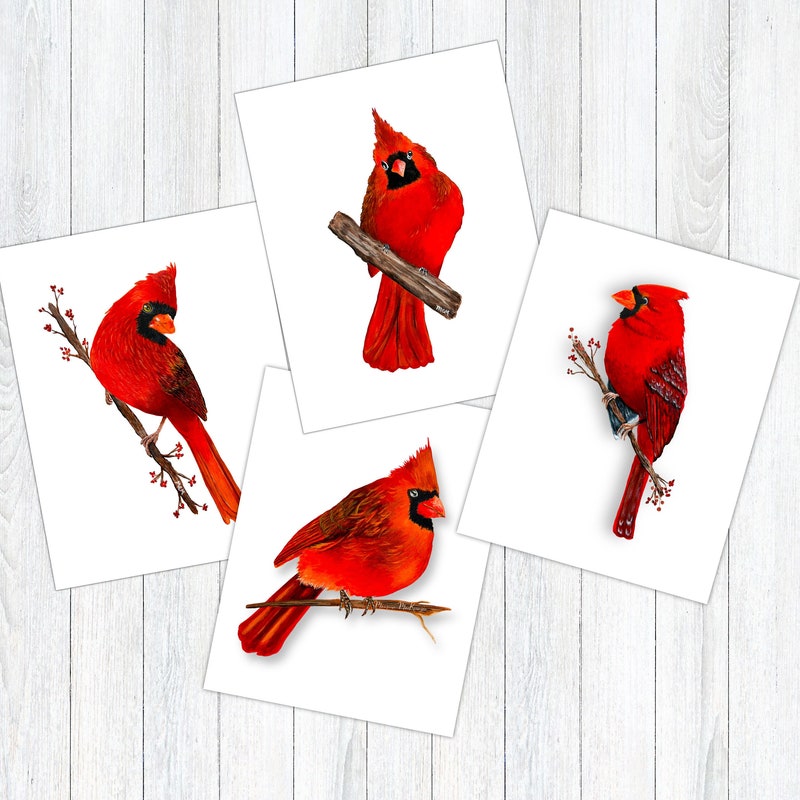 Cardinal Card - Etsy