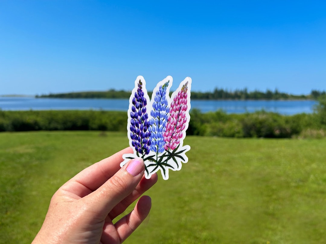Nova Scotia Lupin Sticker | Durable Weatherproof Vinyl | Great for ...