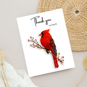 Cardinal Thank You Card | Homemade Note Card | Greeting Card | Homemade ...
