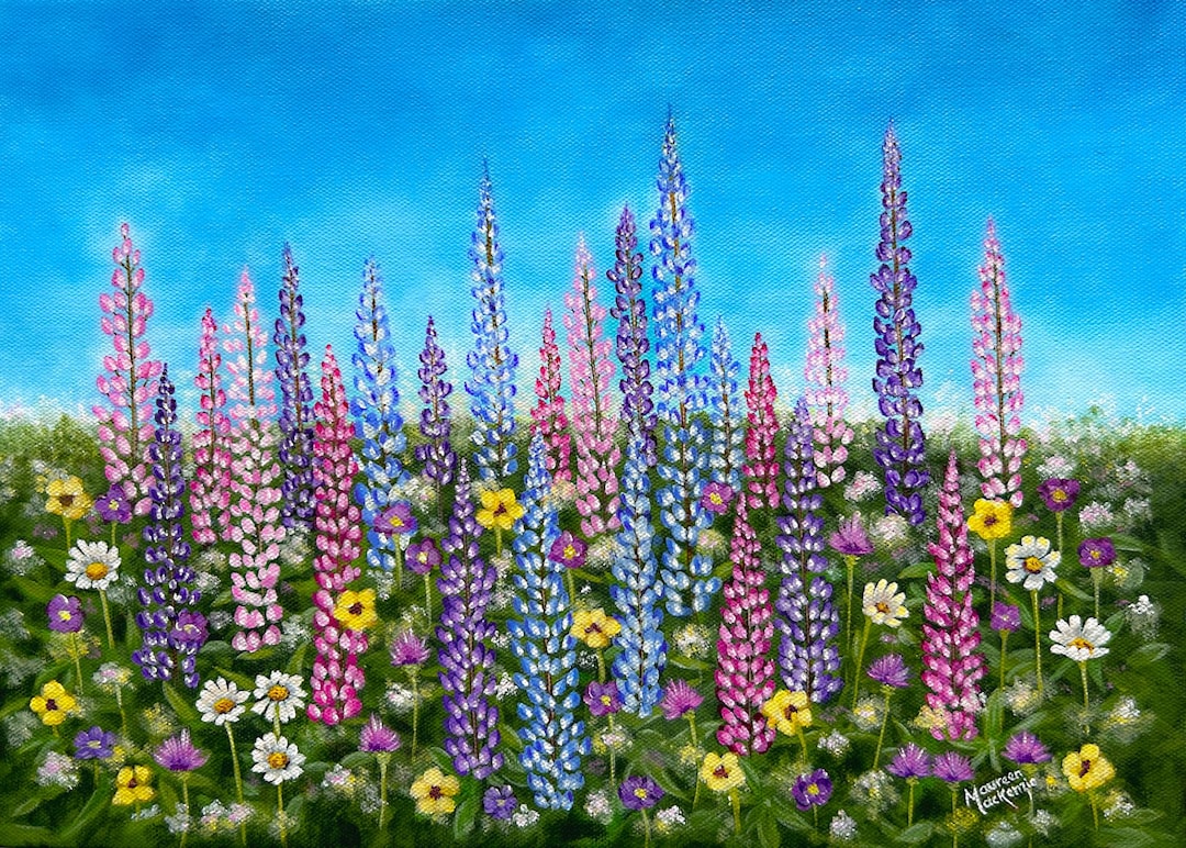 Lupine PRINT, Field of Lupines Landscape Giclee Print, Lupin Flower ...