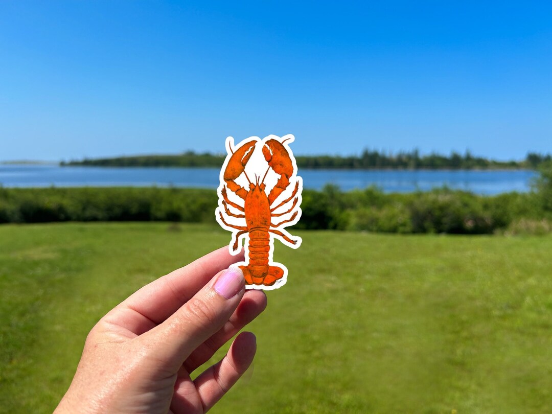 Nova Scotia Lobster Sticker Weatherproof Vinyl Lobster Decal Durable ...