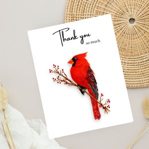 Cardinal Thank You Card Homemade Note Card Greeting Card Homemade ...