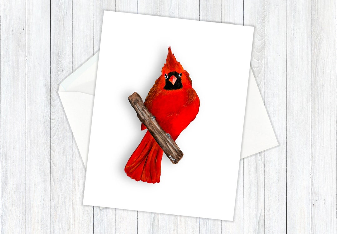 Cardinal Note Card Set or Individual, All Occasion Cardinal Card ...