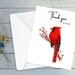 Cardinal Thank You Card Homemade Note Card Greeting Card Homemade ...