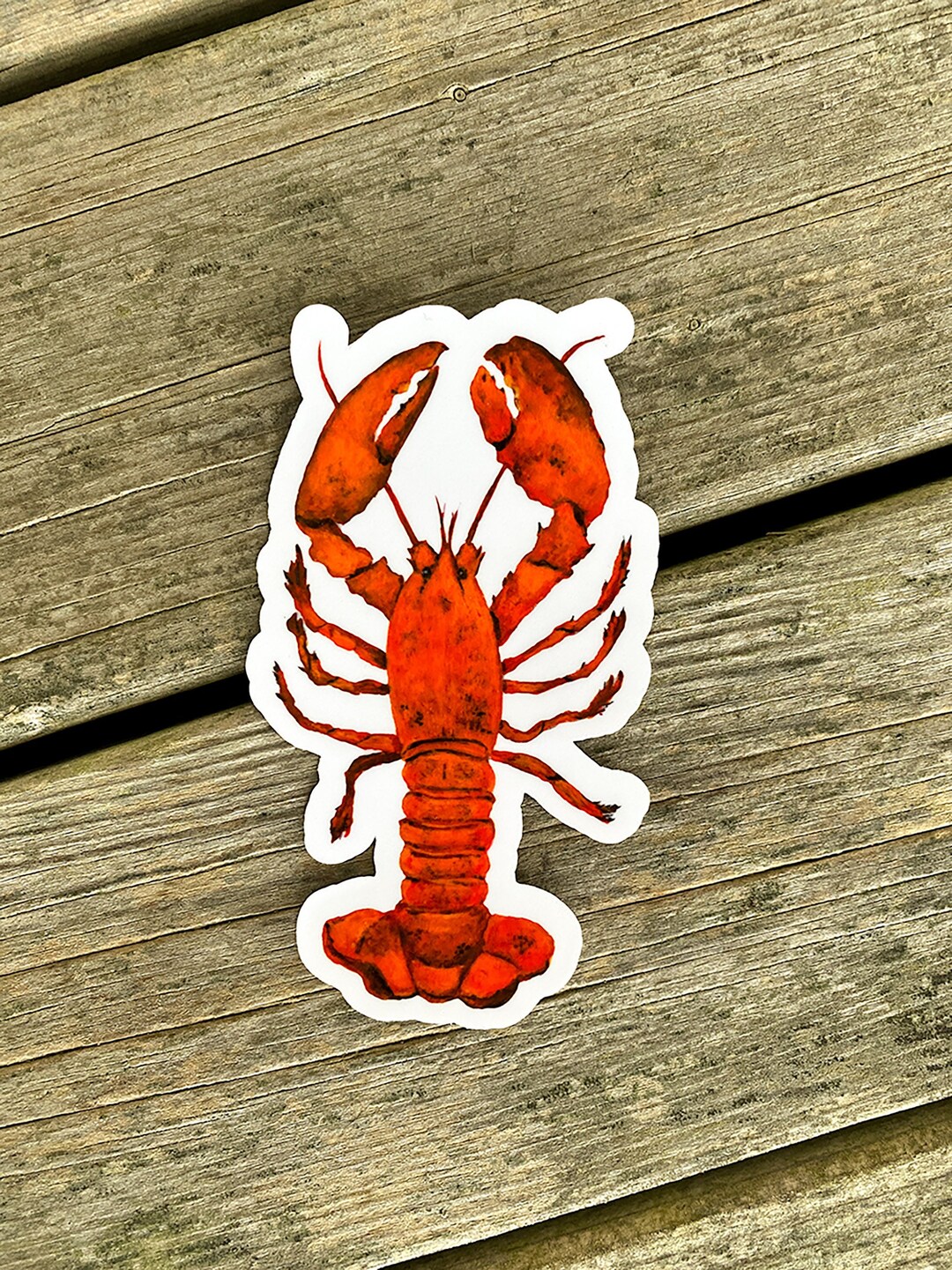 Nova Scotia Lobster Sticker Weatherproof Vinyl Lobster Decal - Etsy