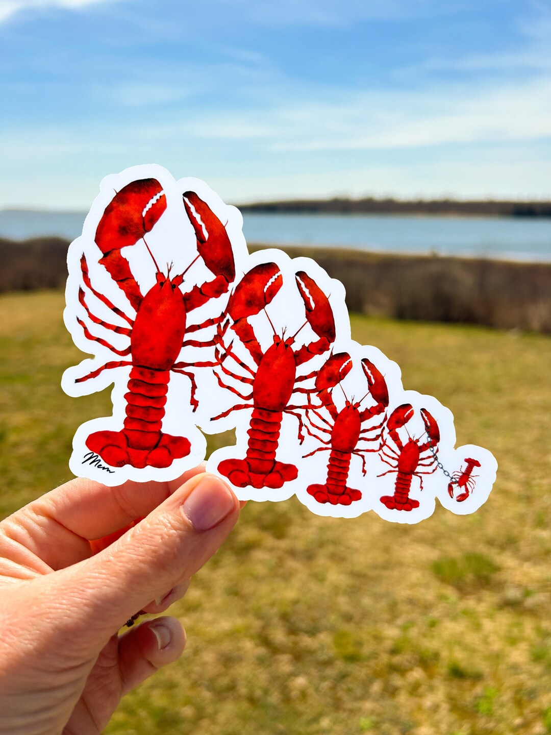 Nova Scotia Lobster Sticker Weatherproof Vinyl Lobster Decal - Etsy